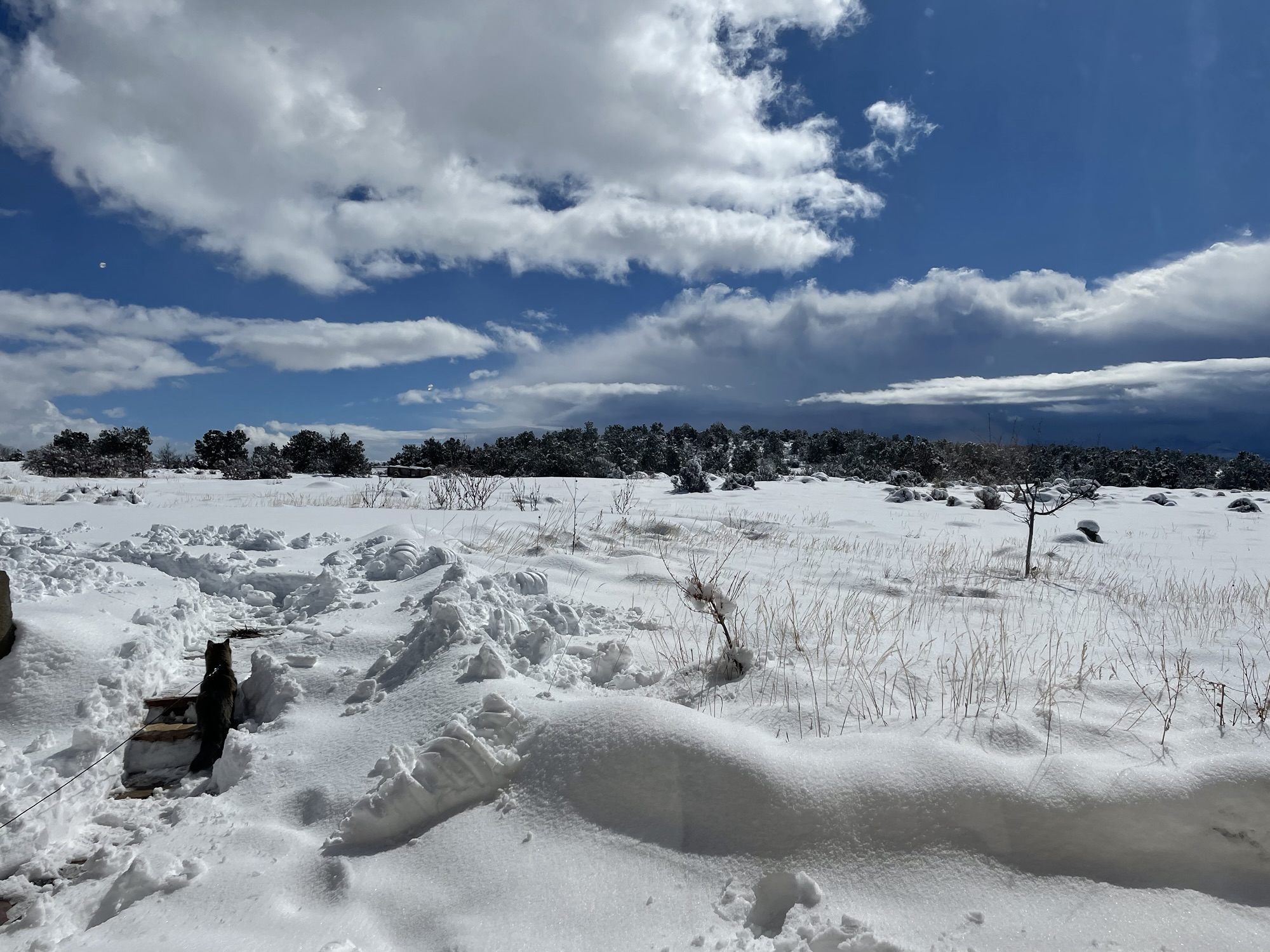 high desert winter – Our Lady of Perpetual Astonishment